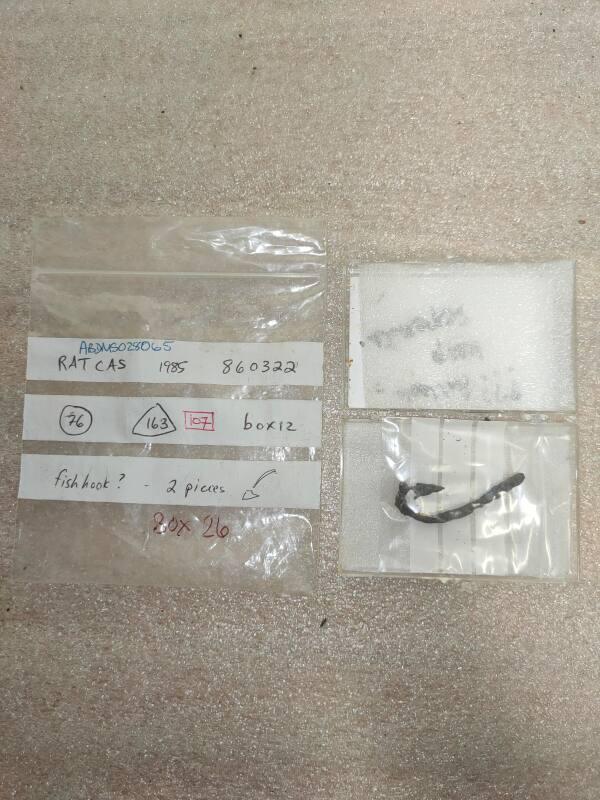 Rattray Fragments Of Fishhook – Works – eMuseum